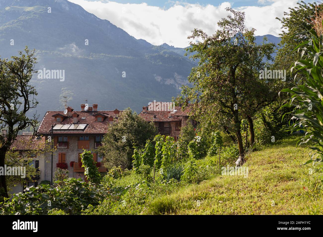 Vegetable gardens above Canale di Tenno, Trentino-Alto Adige, Italy ...