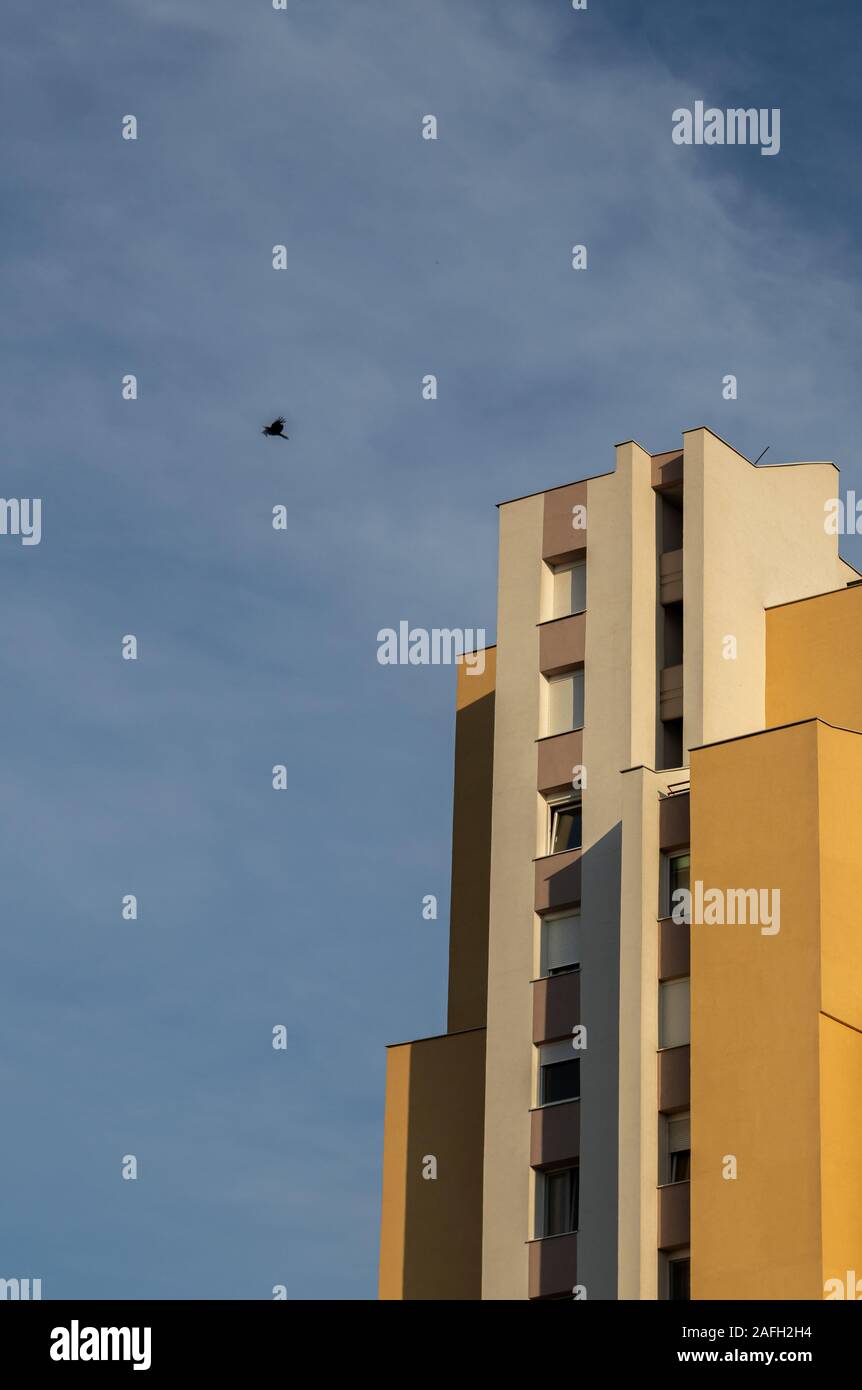 Vertical low angle shot of a bird flying above a concrete modern ...