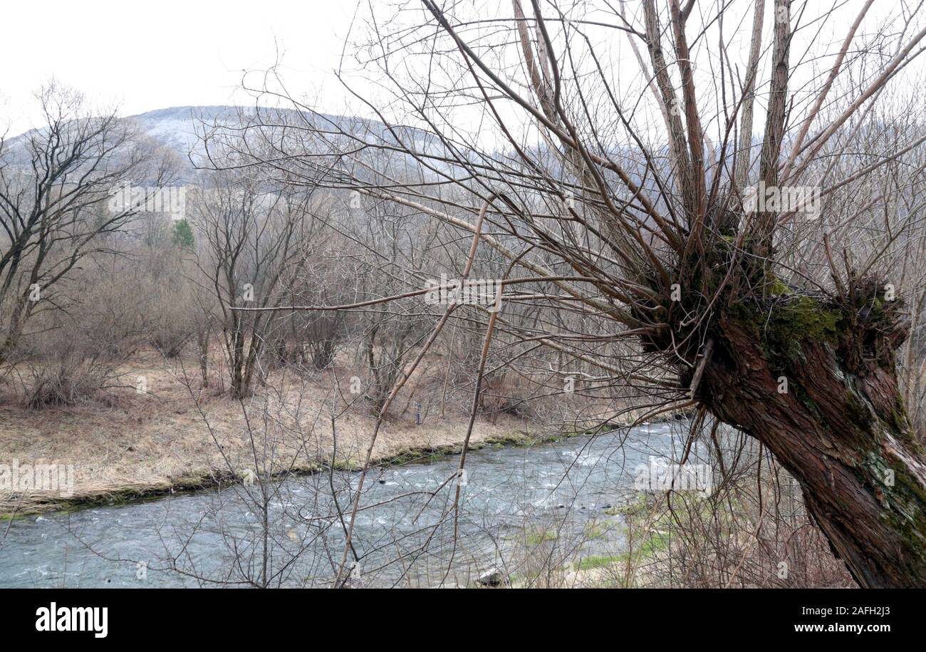 Osielec hi-res stock photography and images - Alamy