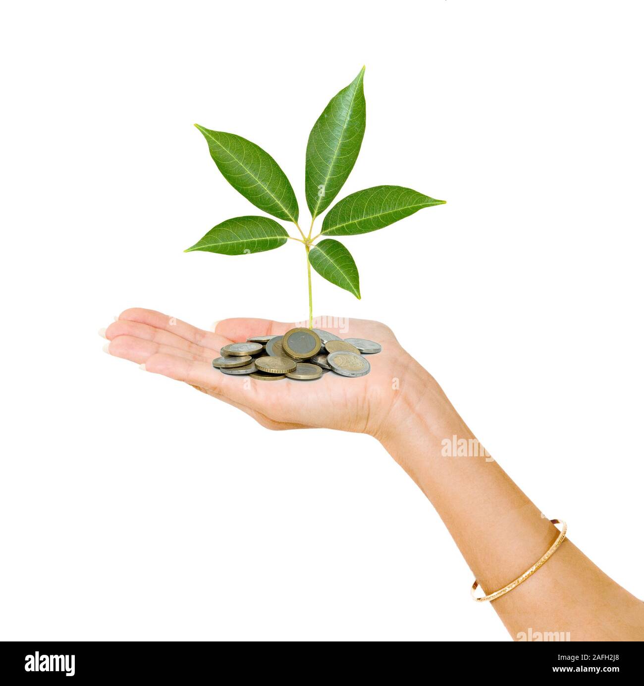 Palm with a tree growing from pile of coins Stock Photo - Alamy