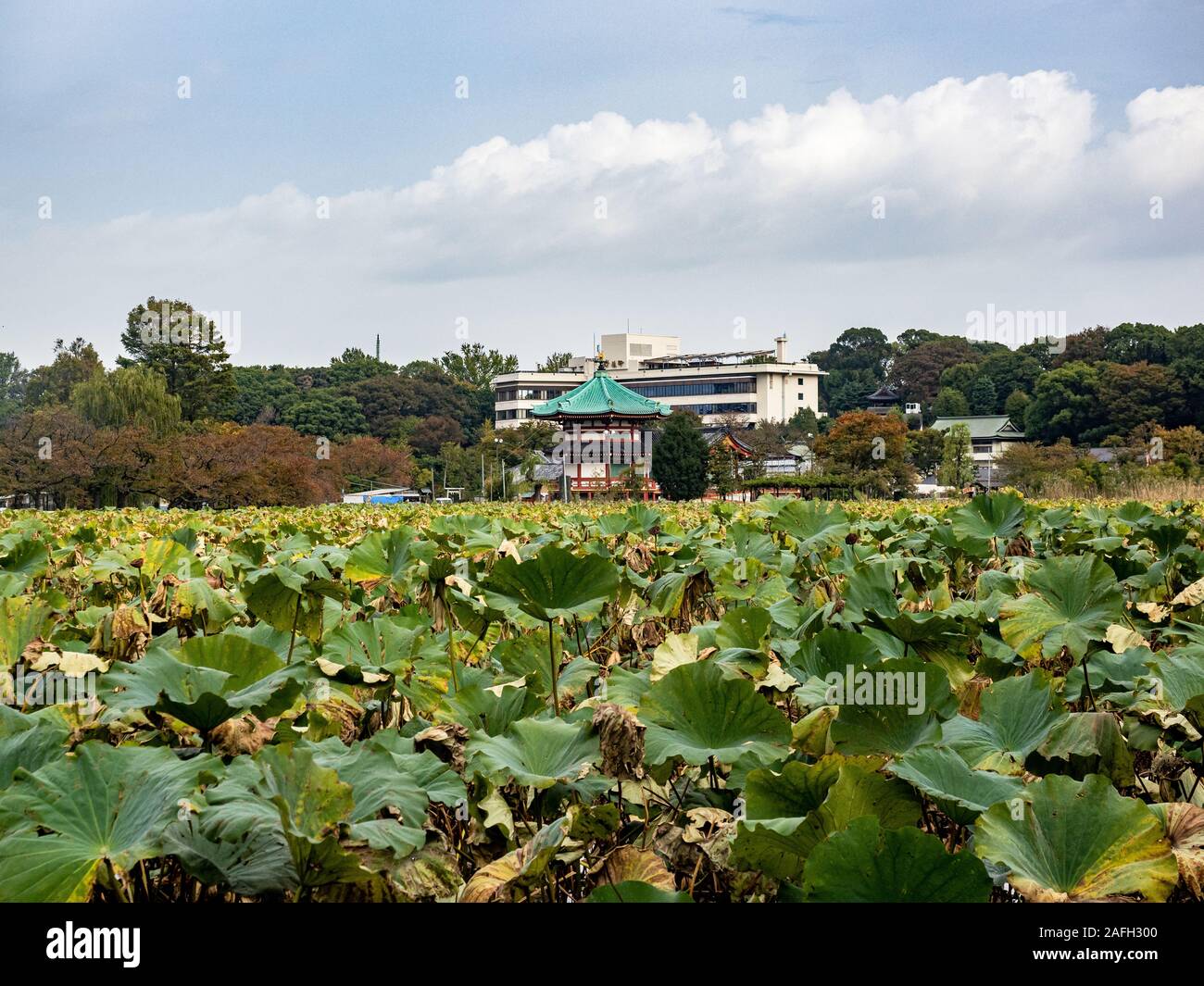 Building complex in the middle of a beautiful green scenery under the ...