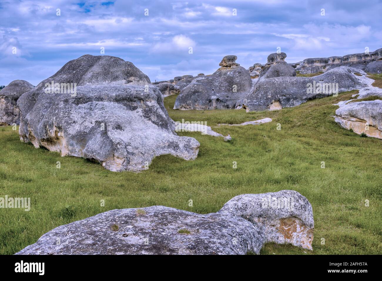 Mackenzie Natural Area High Resolution Stock Photography and Images - Alamy