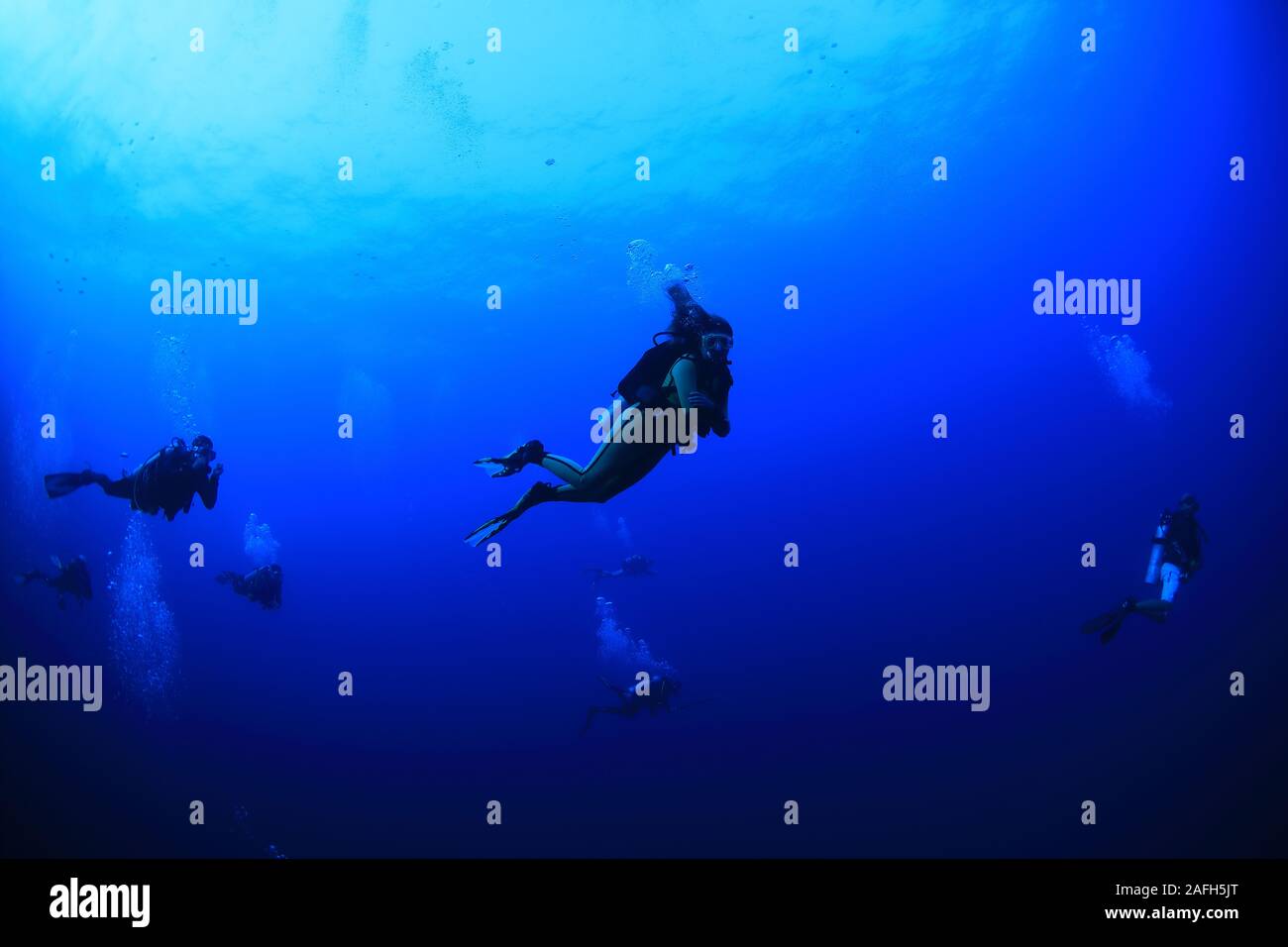 Group of scuba divers swimming in the blue water of the Red Sea Stock ...