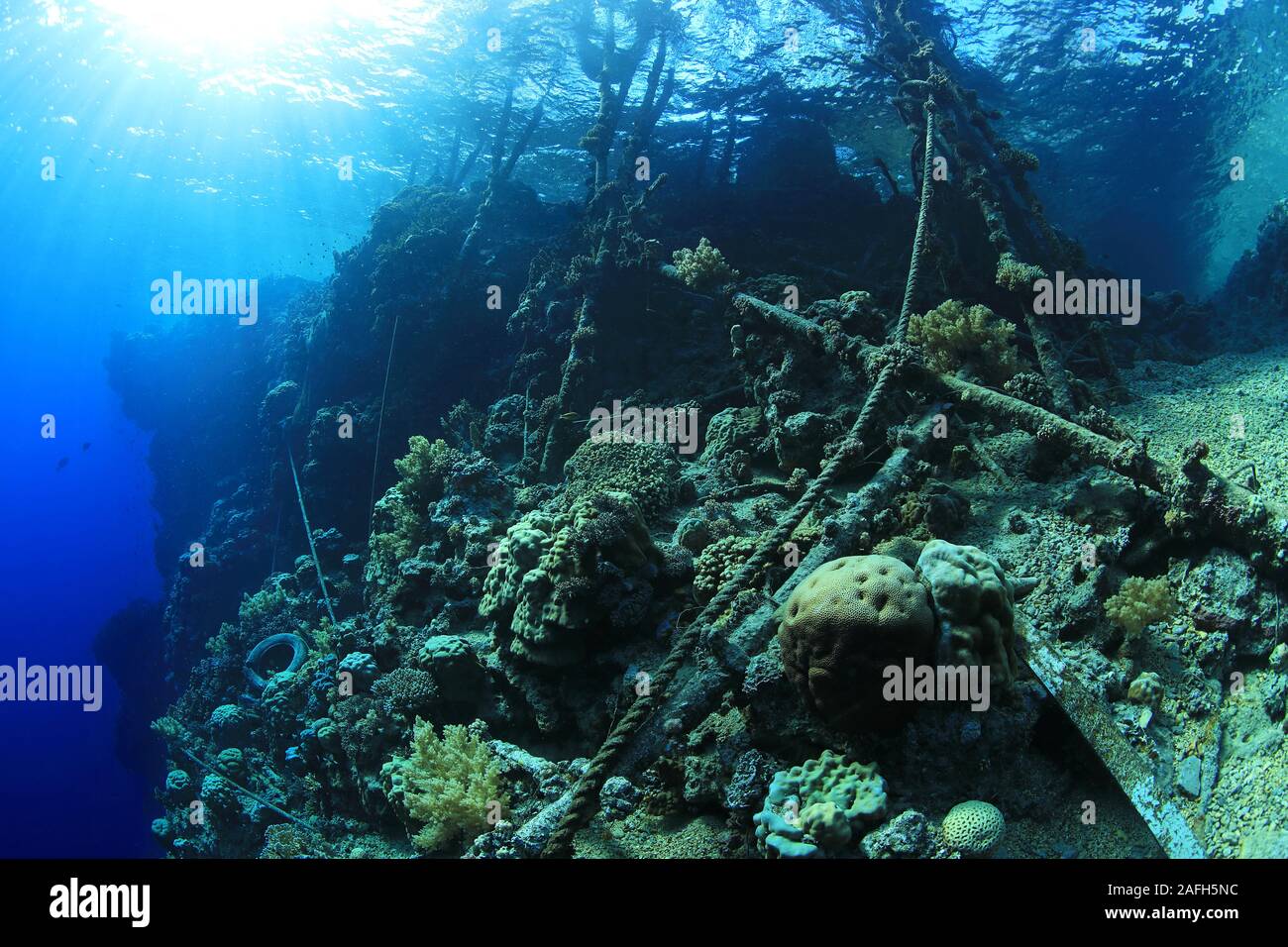 Marine pollution on corals underwater in the tropical coral reef of the ...