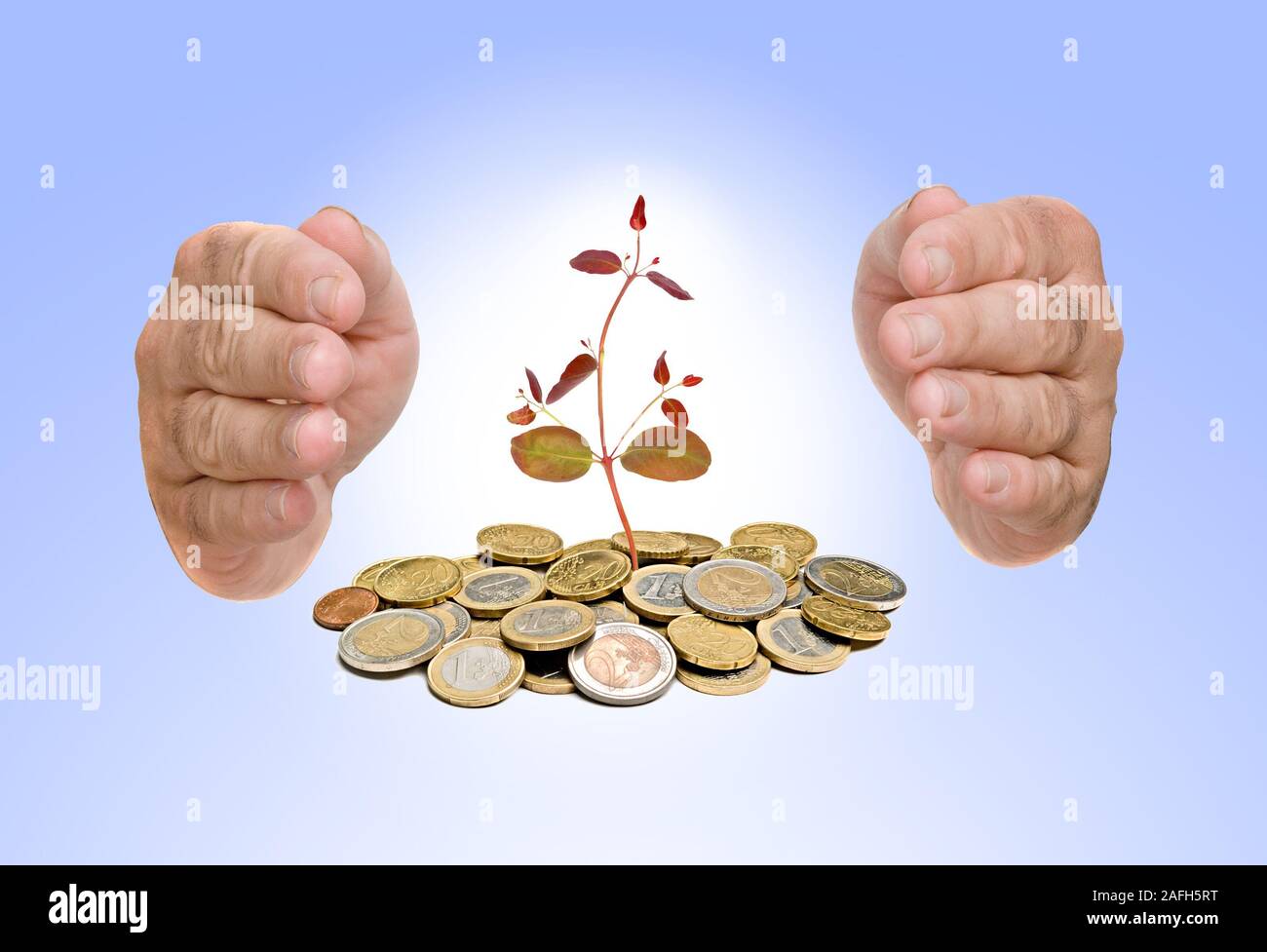 Hands protecting tree Stock Photo - Alamy