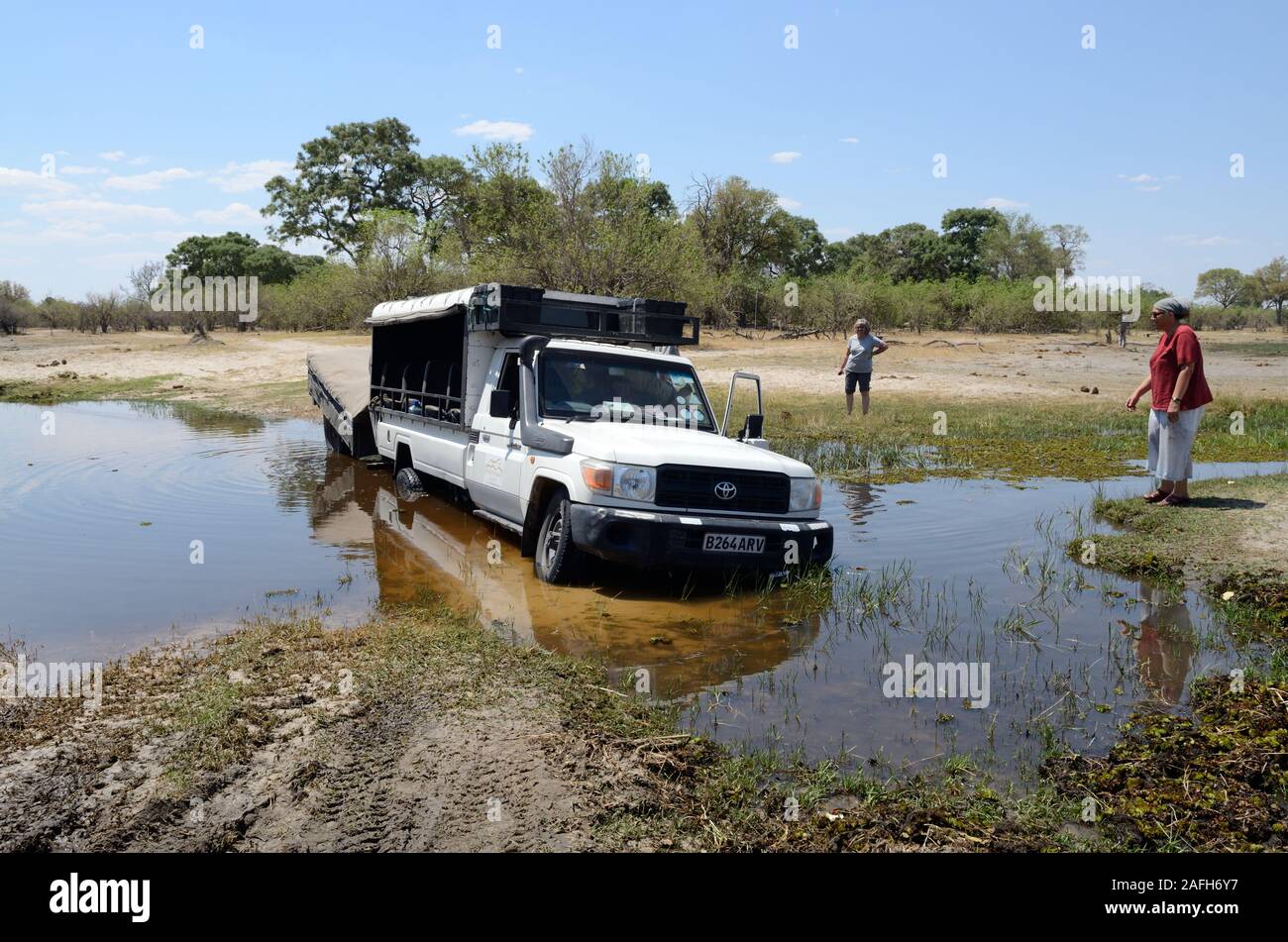 Swamp Jeep Festival Of Off Road Lovers. SUVs Drive The Swamp. Cars