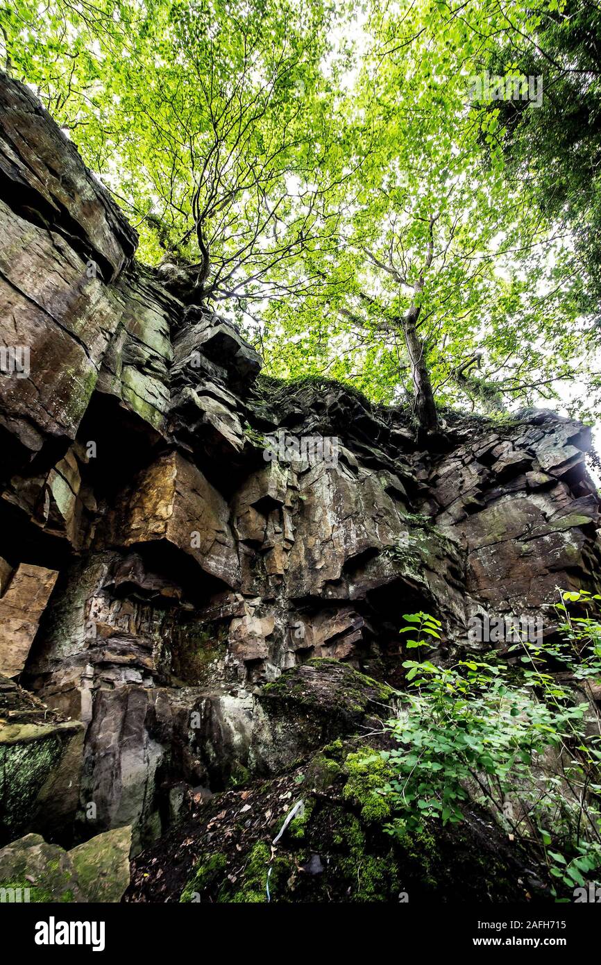 rockface in woodland Stock Photo - Alamy