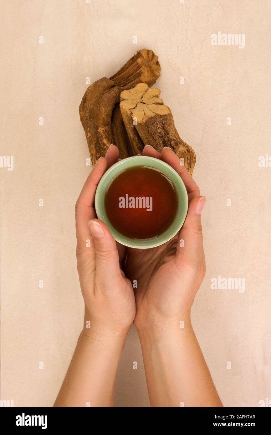 Drinking ayahuasca. Female hand holding a bowl with psychedelic drink ...
