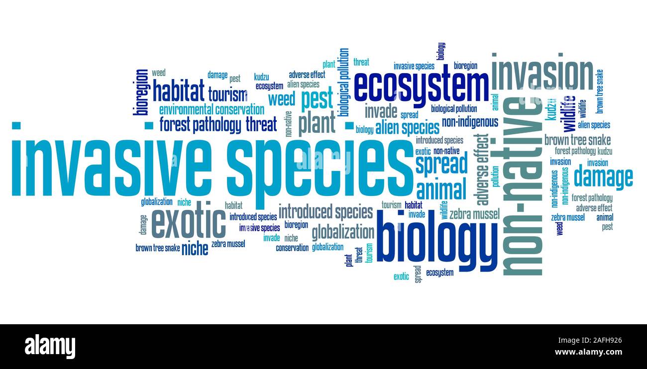 Invasive species - environment issues and concepts word cloud ...