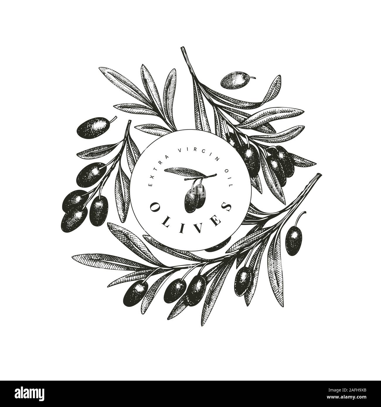 Olive branch design template. Hand drawn vector food illustration ...