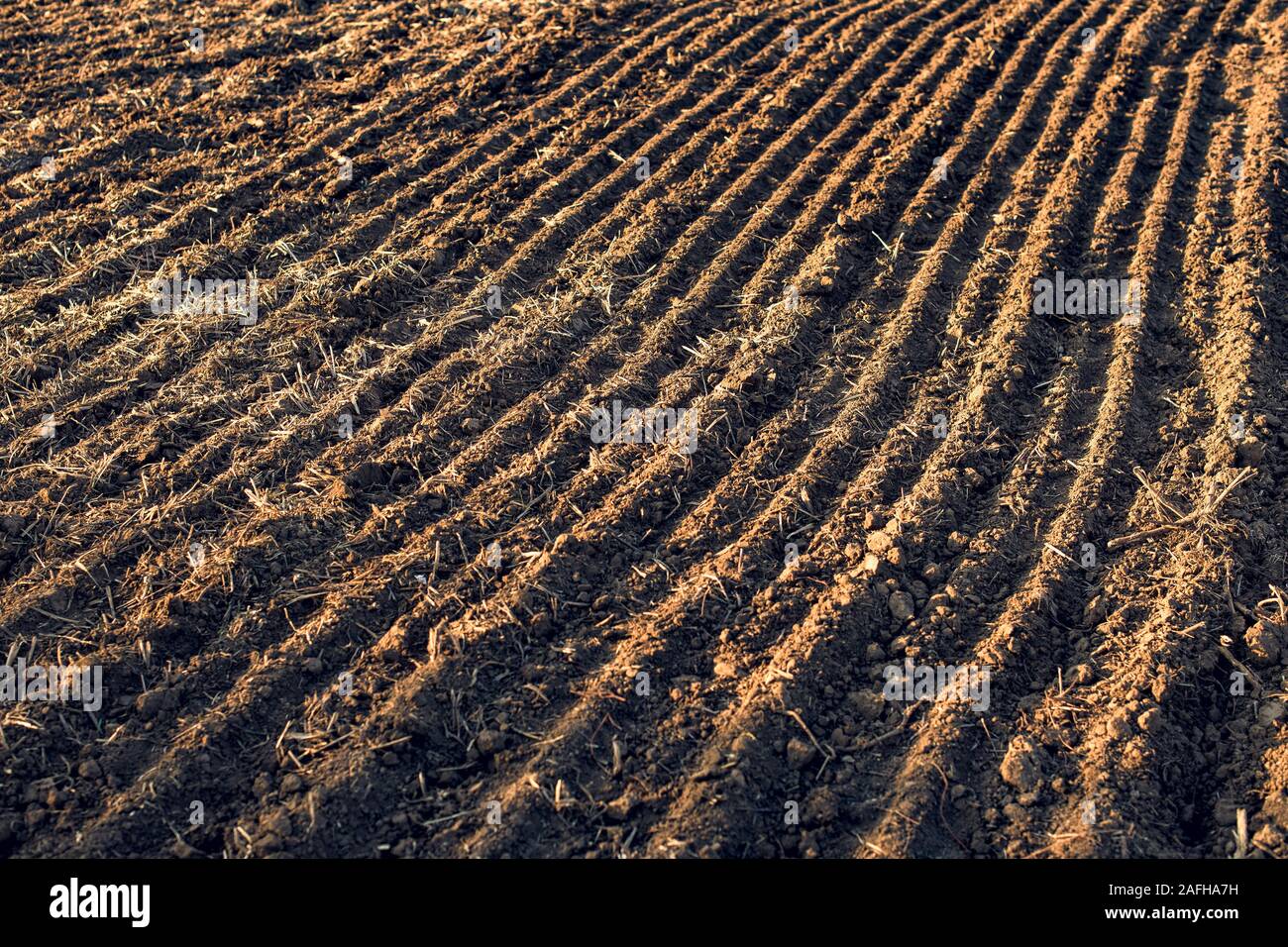 Nurture background hi-res stock photography and images - Alamy