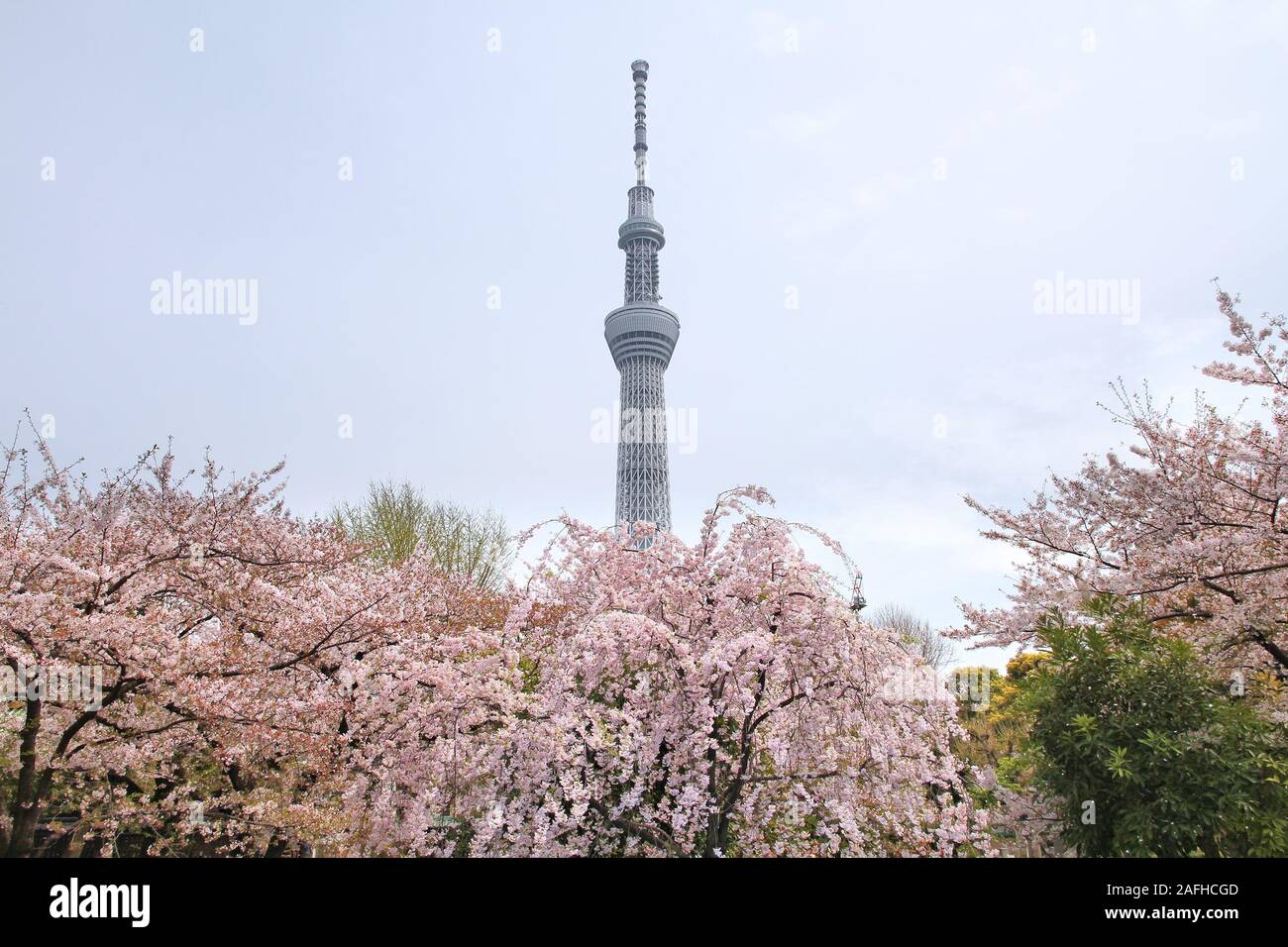 Second tallest structure in japan hi-res stock photography and images ...