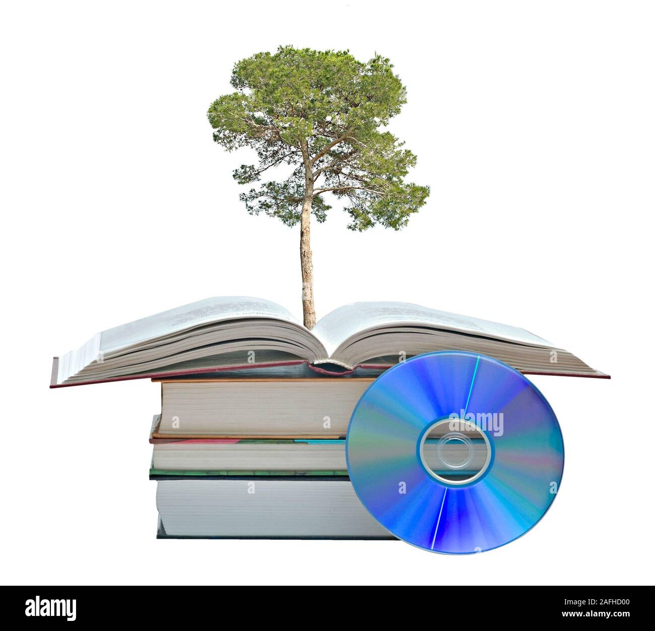 Pine tree growing from open book Stock Photo - Alamy