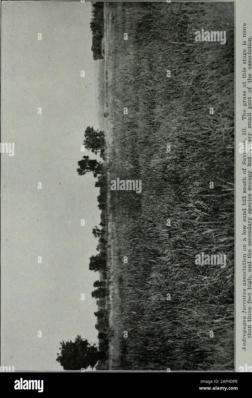 Lxxvi hi-res stock photography and images - Alamy