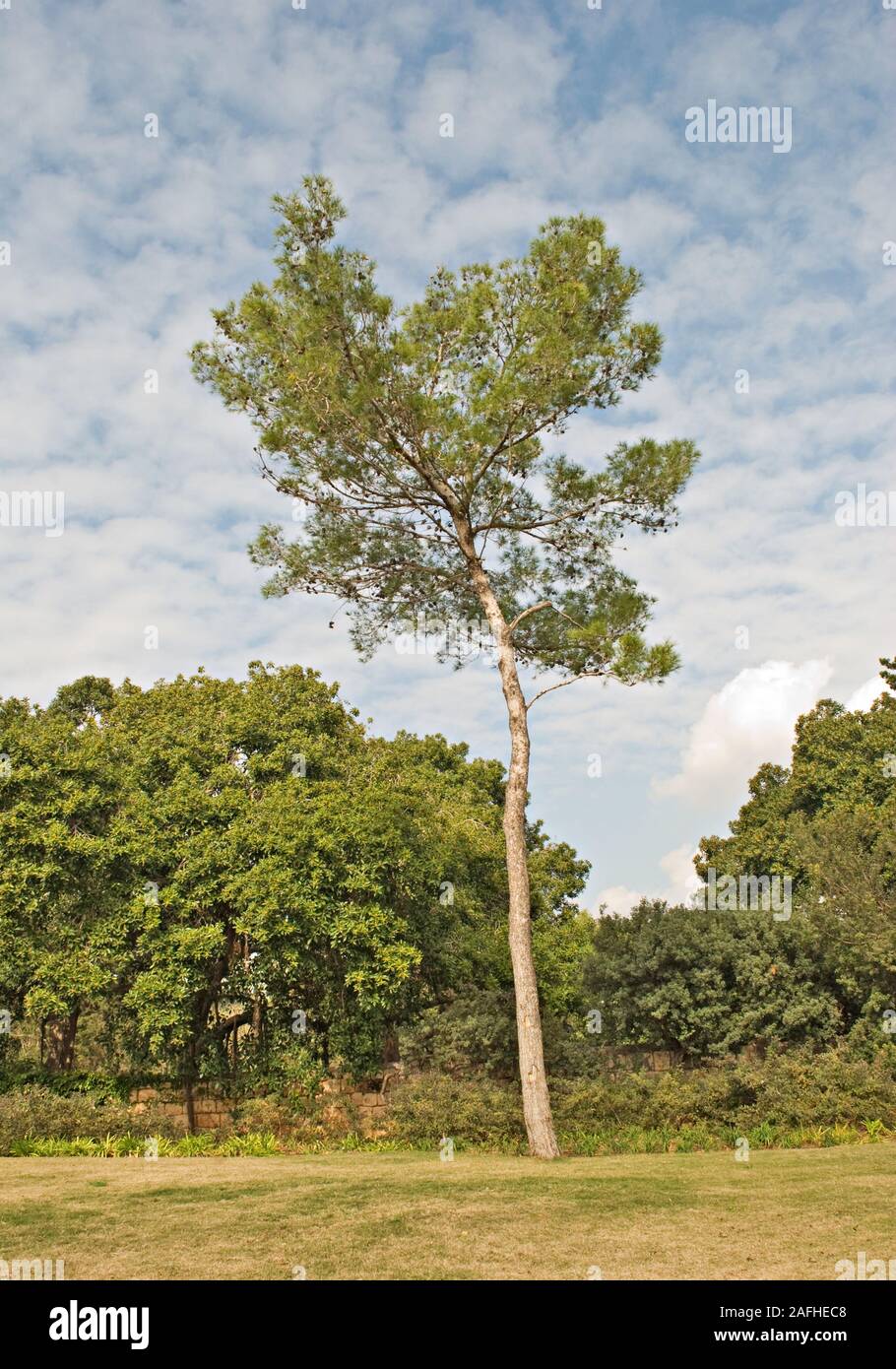 Hanadiv hi-res stock photography and images - Alamy