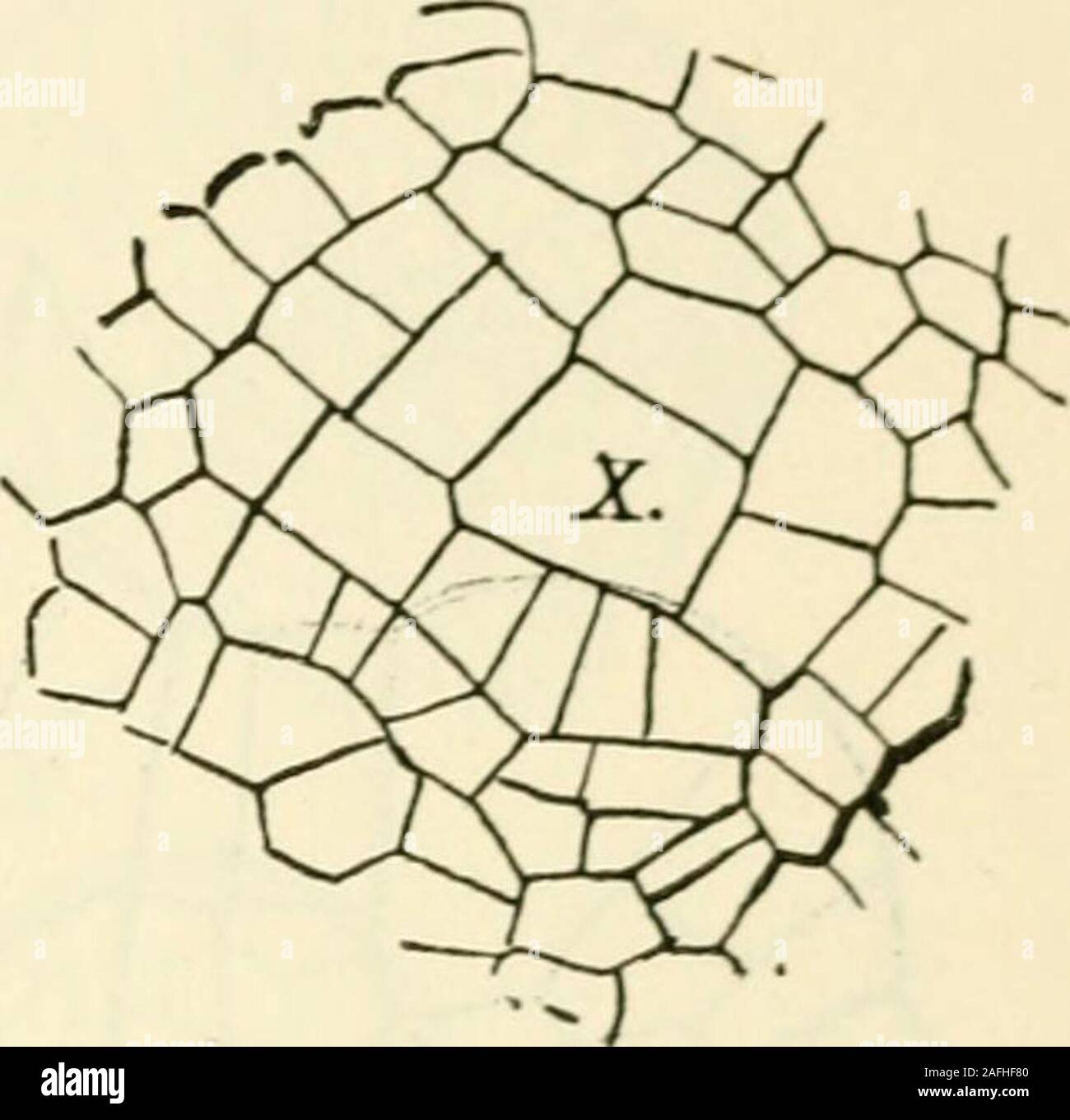 Truncate pyramid hi-res stock photography and images - Alamy