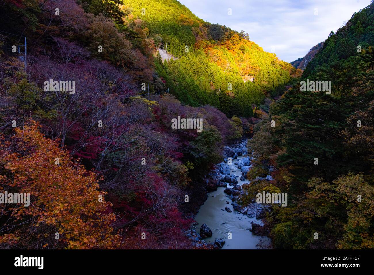 Autumn in Okutama Stock Photo - Alamy