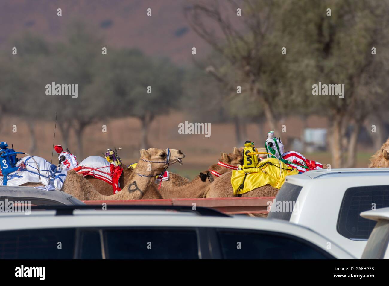 "Ras al Khaimah, Ras al Khaimah/United Arab Emirates - 12/14/2019 ...