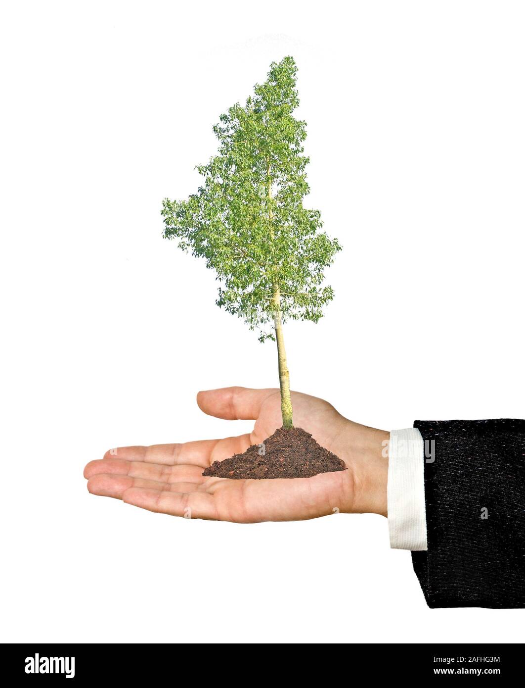 Tree in hand Stock Photo - Alamy
