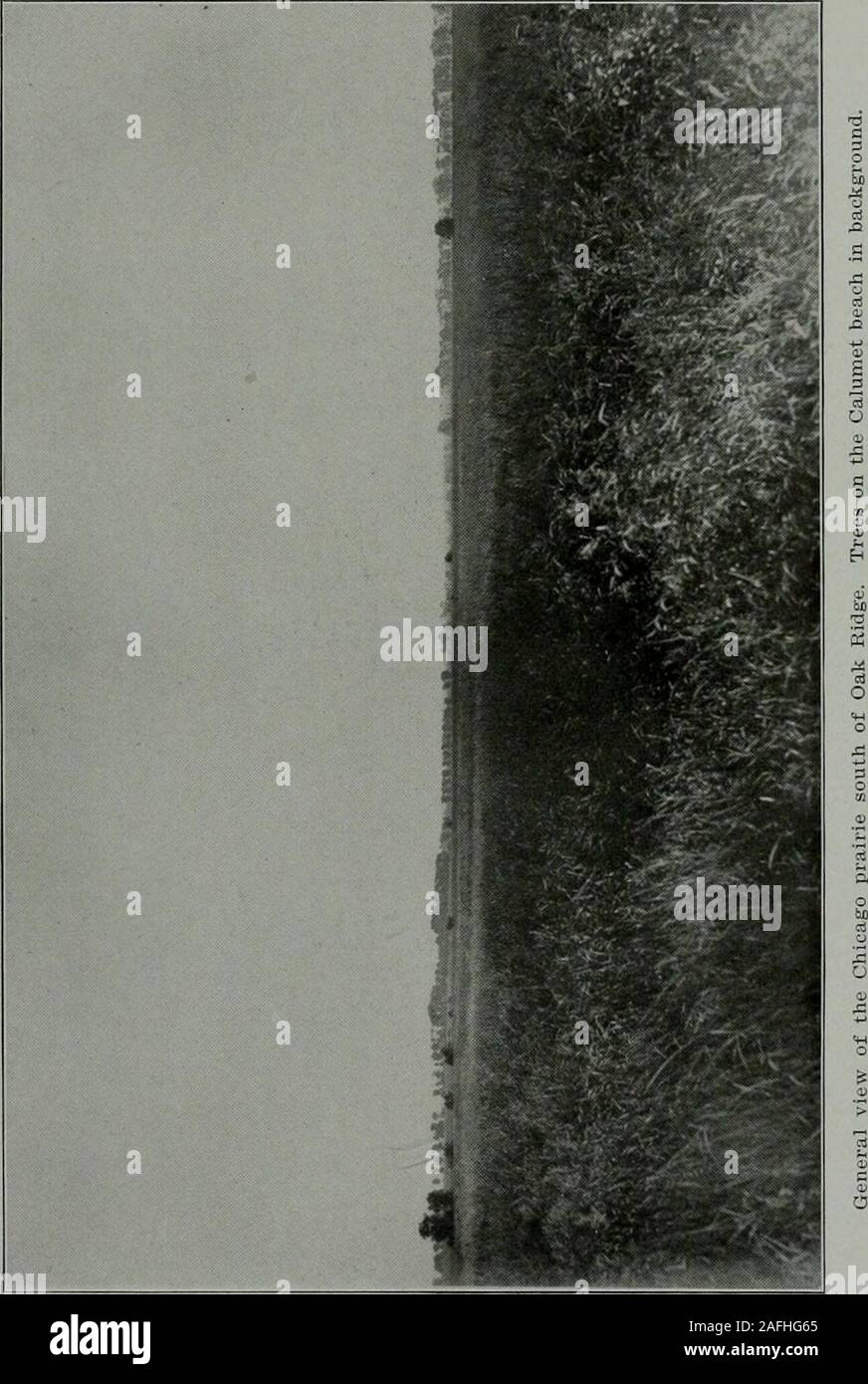 Plate lvii hi-res stock photography and images - Alamy