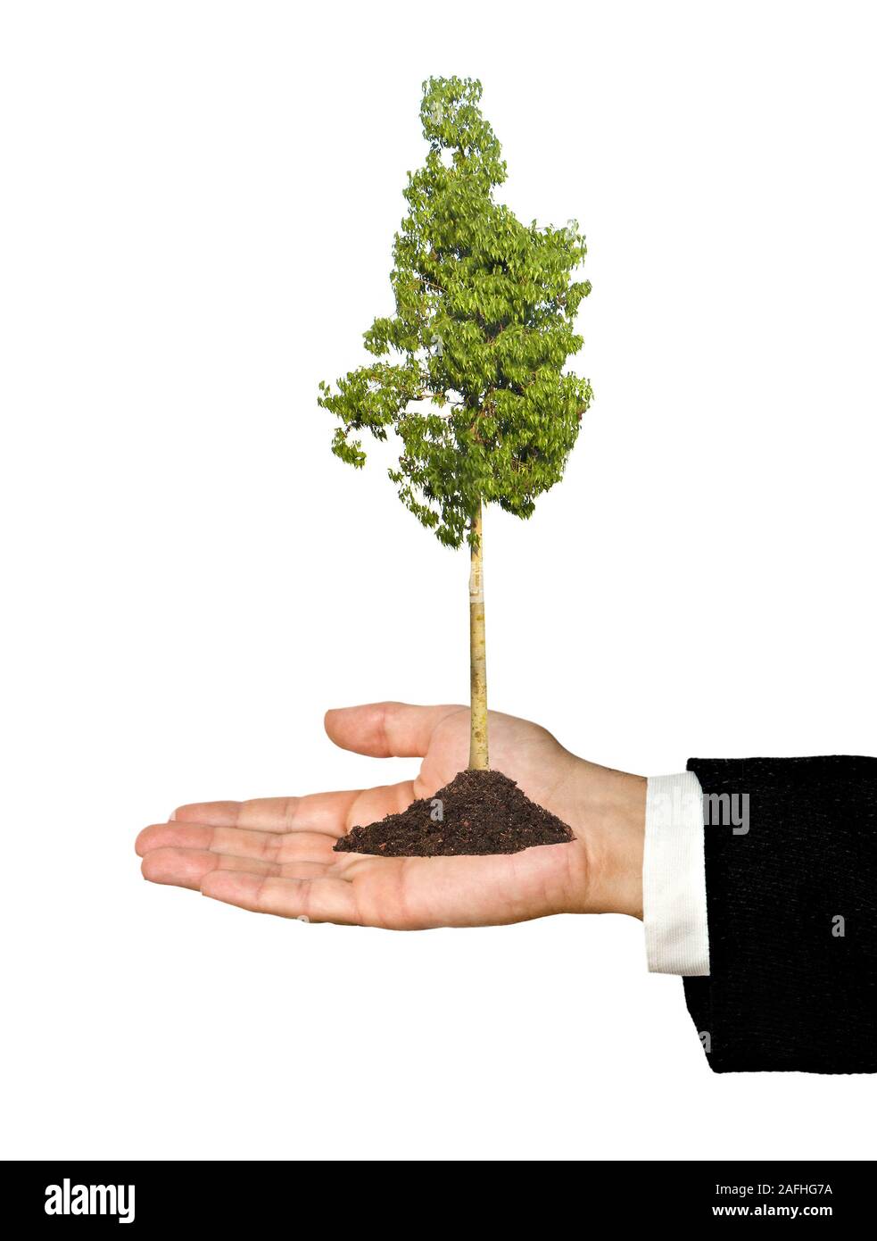 Hand planting tree Cut Out Stock Images & Pictures - Alamy