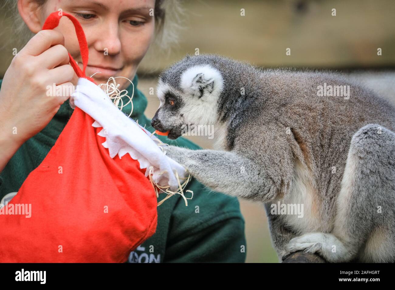 Primate keeper hi-res stock photography and images - Alamy