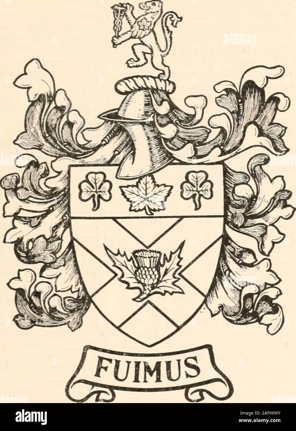 Fuimus hi-res stock photography and images - Alamy