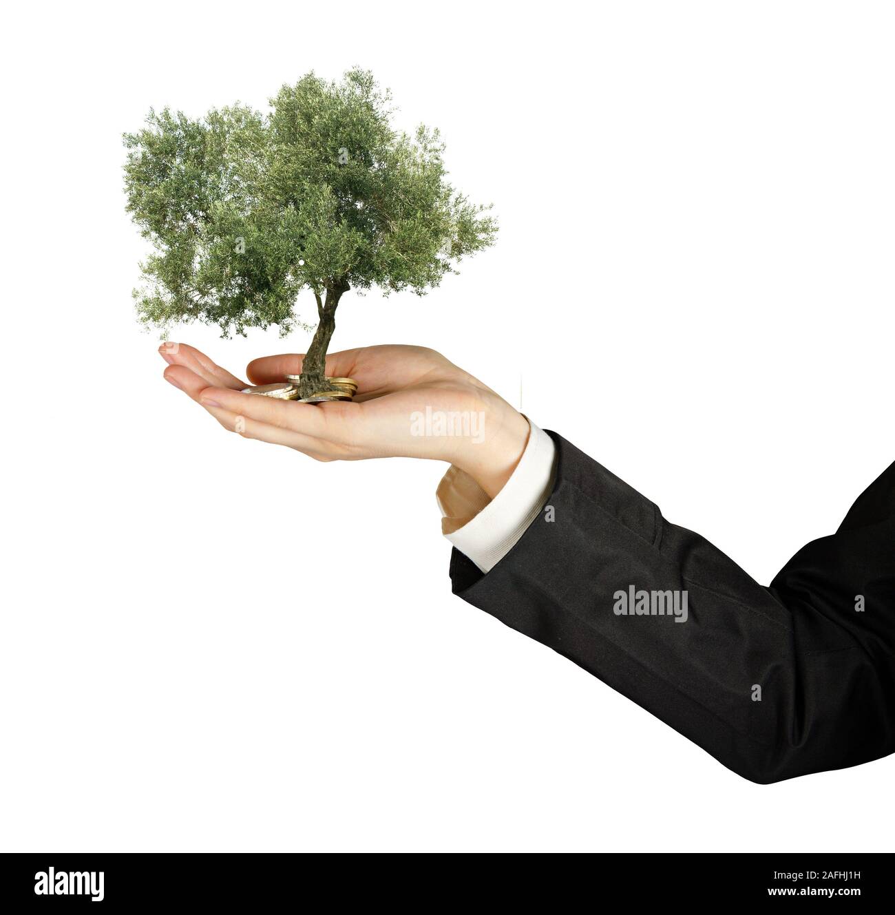 Olive planting person Cut Out Stock Images & Pictures - Alamy