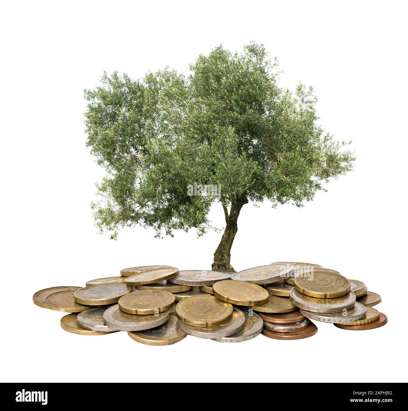 Olive tree growing from pile of coins Stock Photo - Alamy