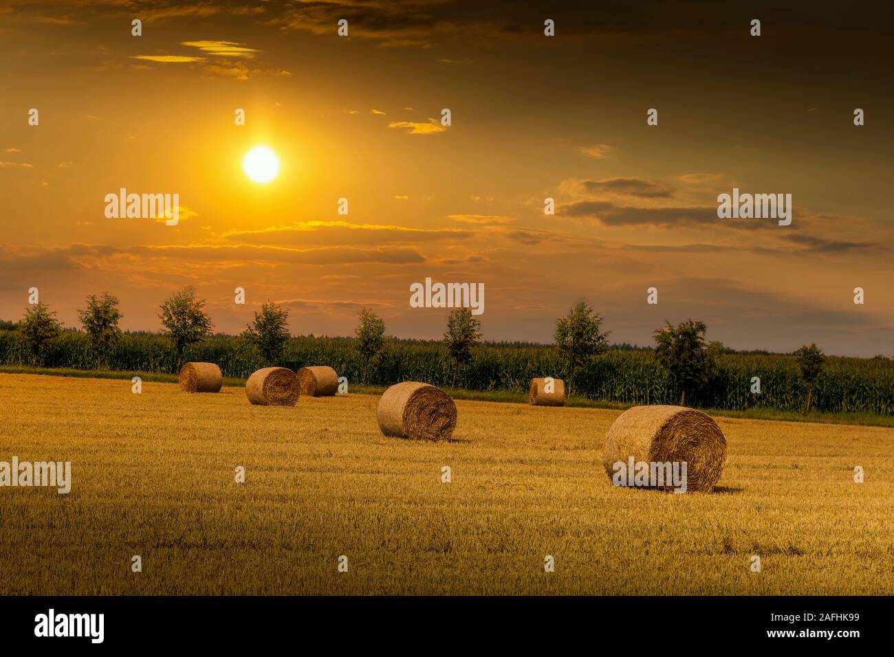 Sunset over farm field with hay bales. Czech countryside Stock Photo ...