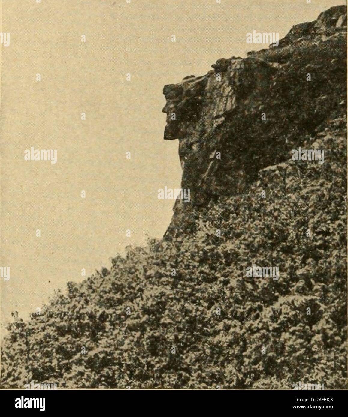 Strangeface hi-res stock photography and images - Alamy