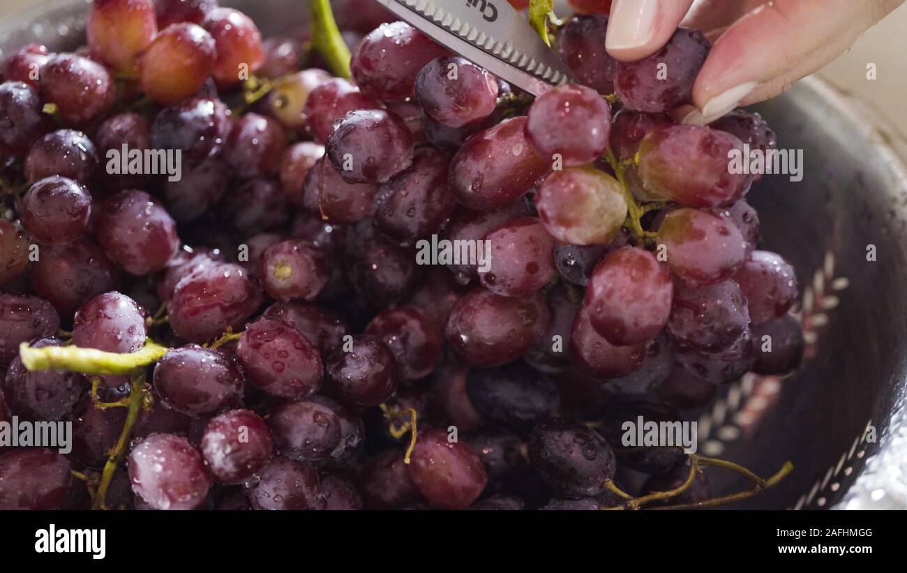 Washing red seedless grapes in stainless steel colander Stock Photo - Alamy