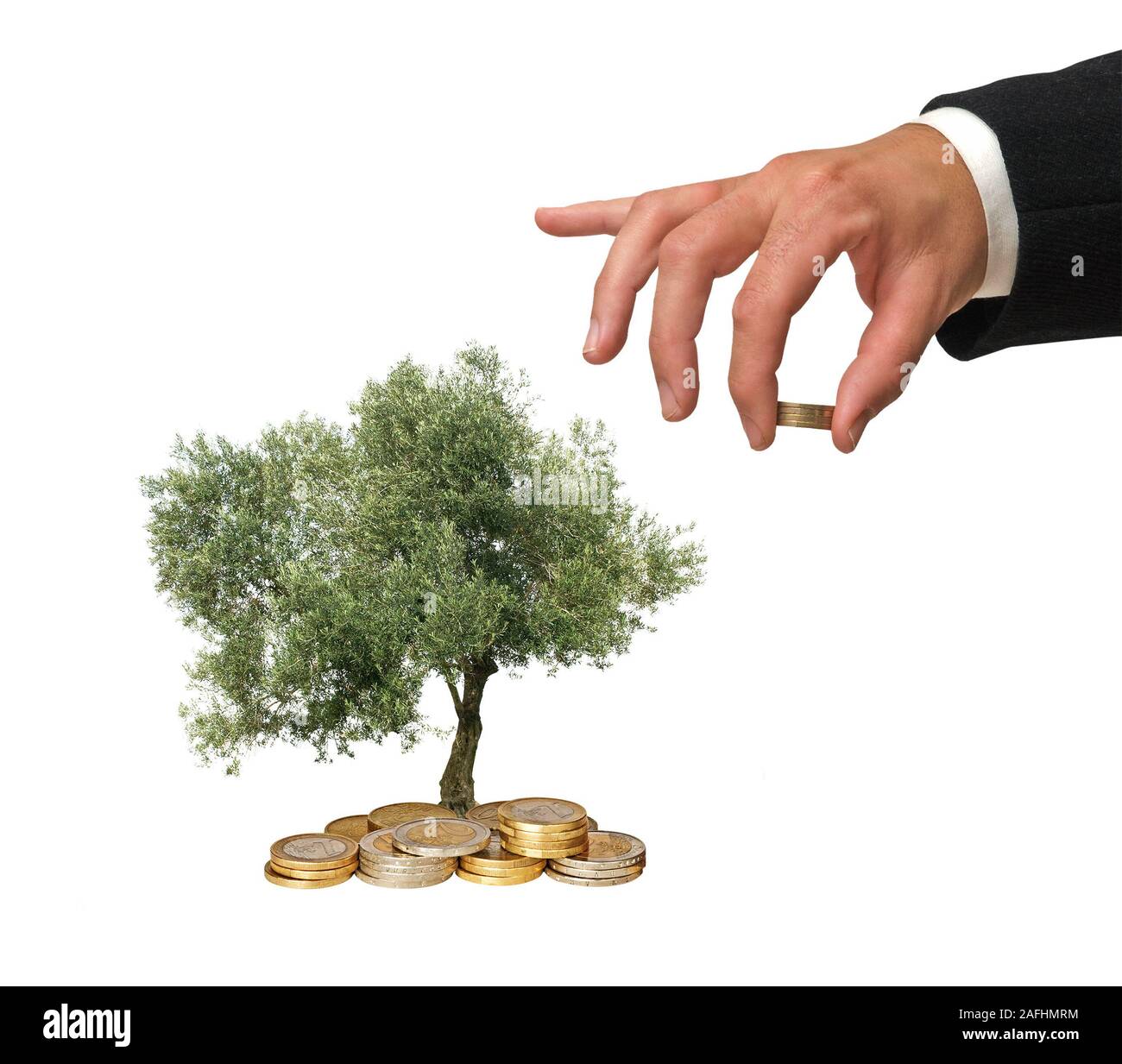 Olive tree growing from pile of coins Stock Photo - Alamy