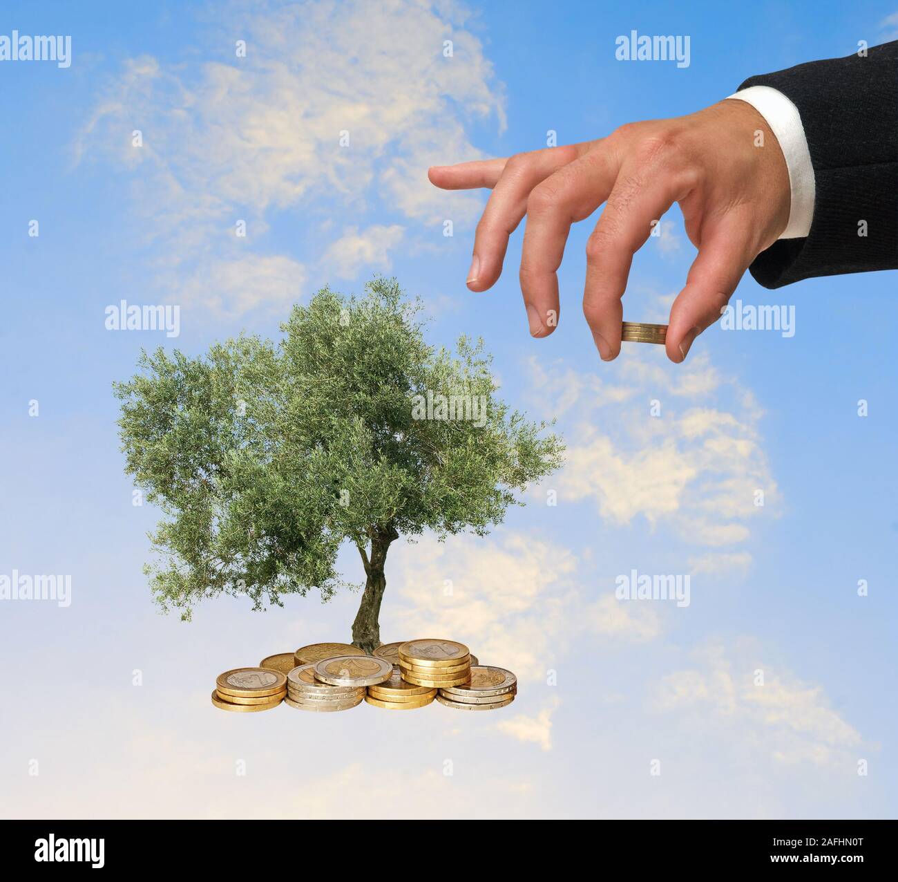 Olive tree growing from pile of coins Stock Photo - Alamy