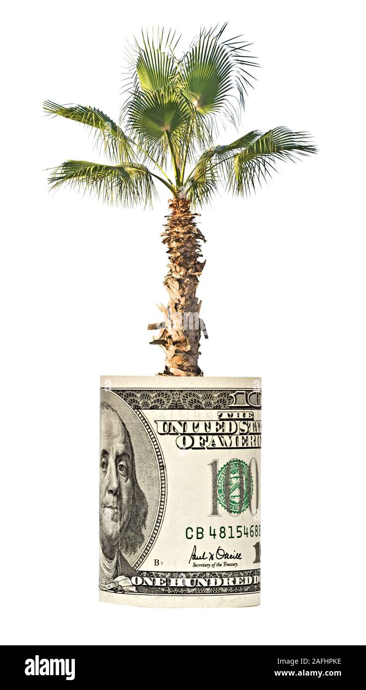 Palm dollar bill hi-res stock photography and images - Alamy