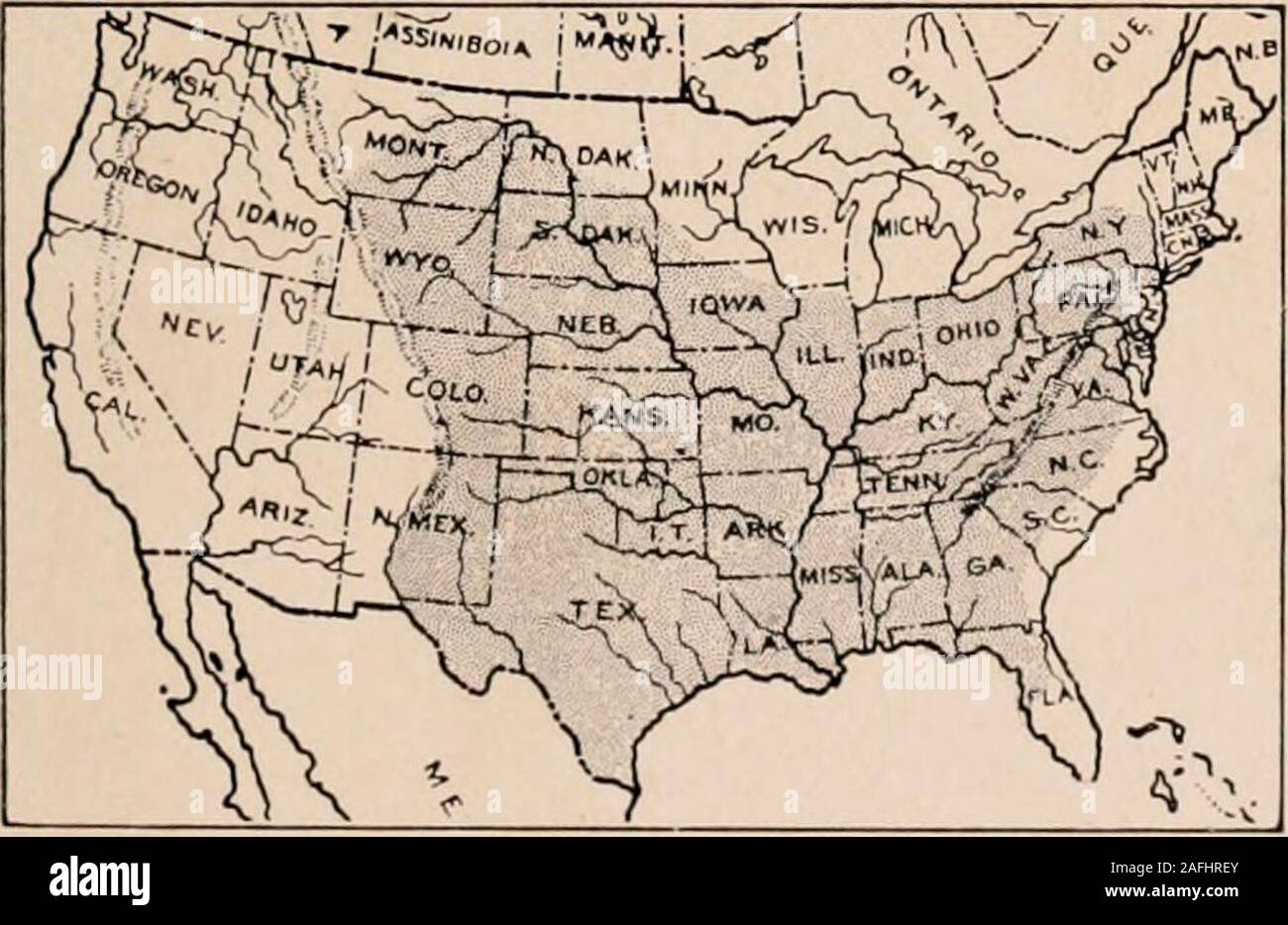 Long tapering leaves hi-res stock photography and images - Alamy