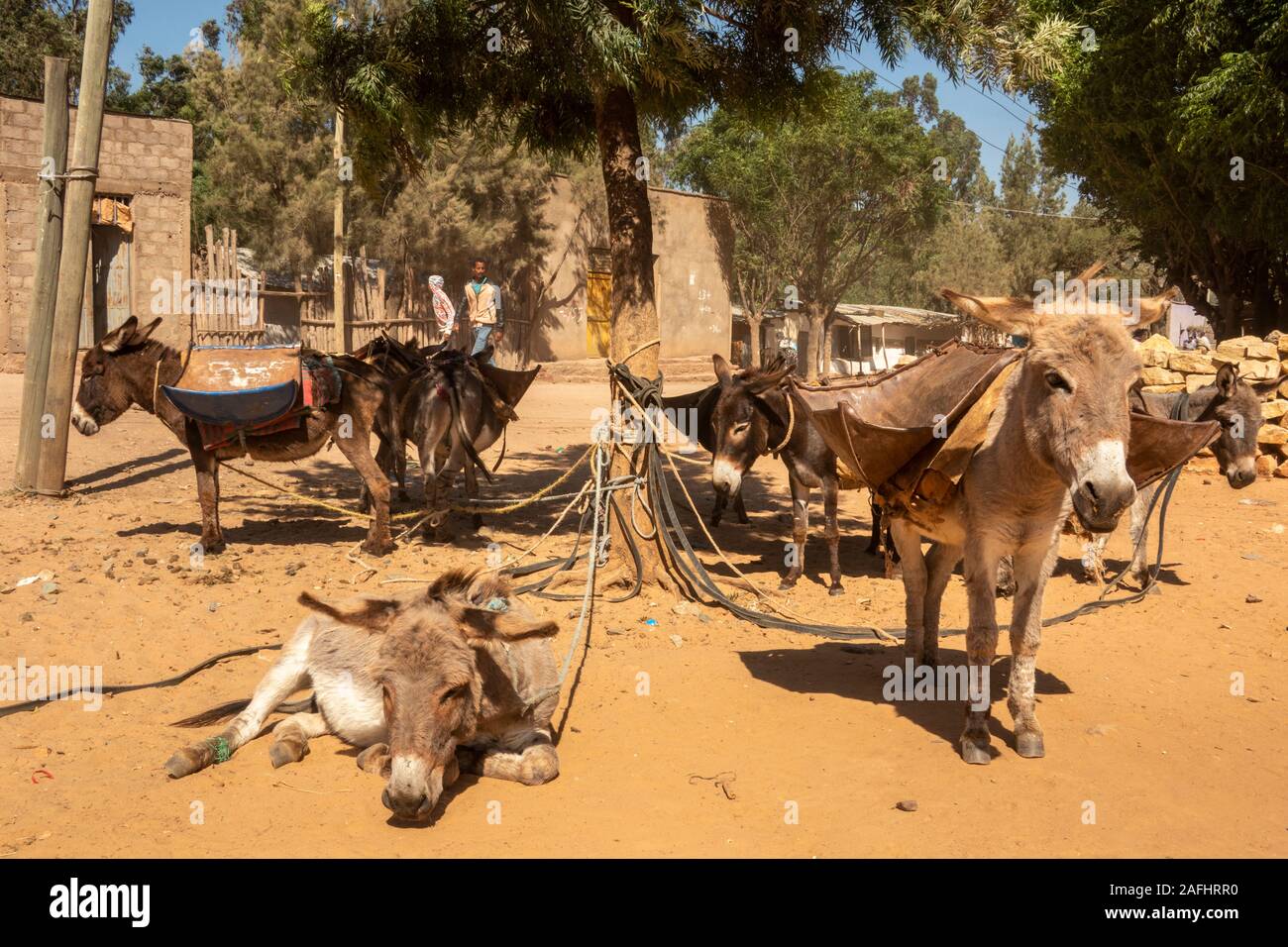 Ethiopia, Tigray, Wukro, Abraha Atsbeha village, weekly market ...