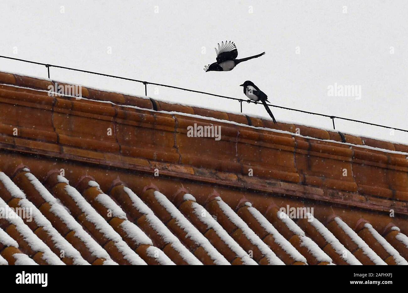 Taihe hall hi-res stock photography and images - Alamy