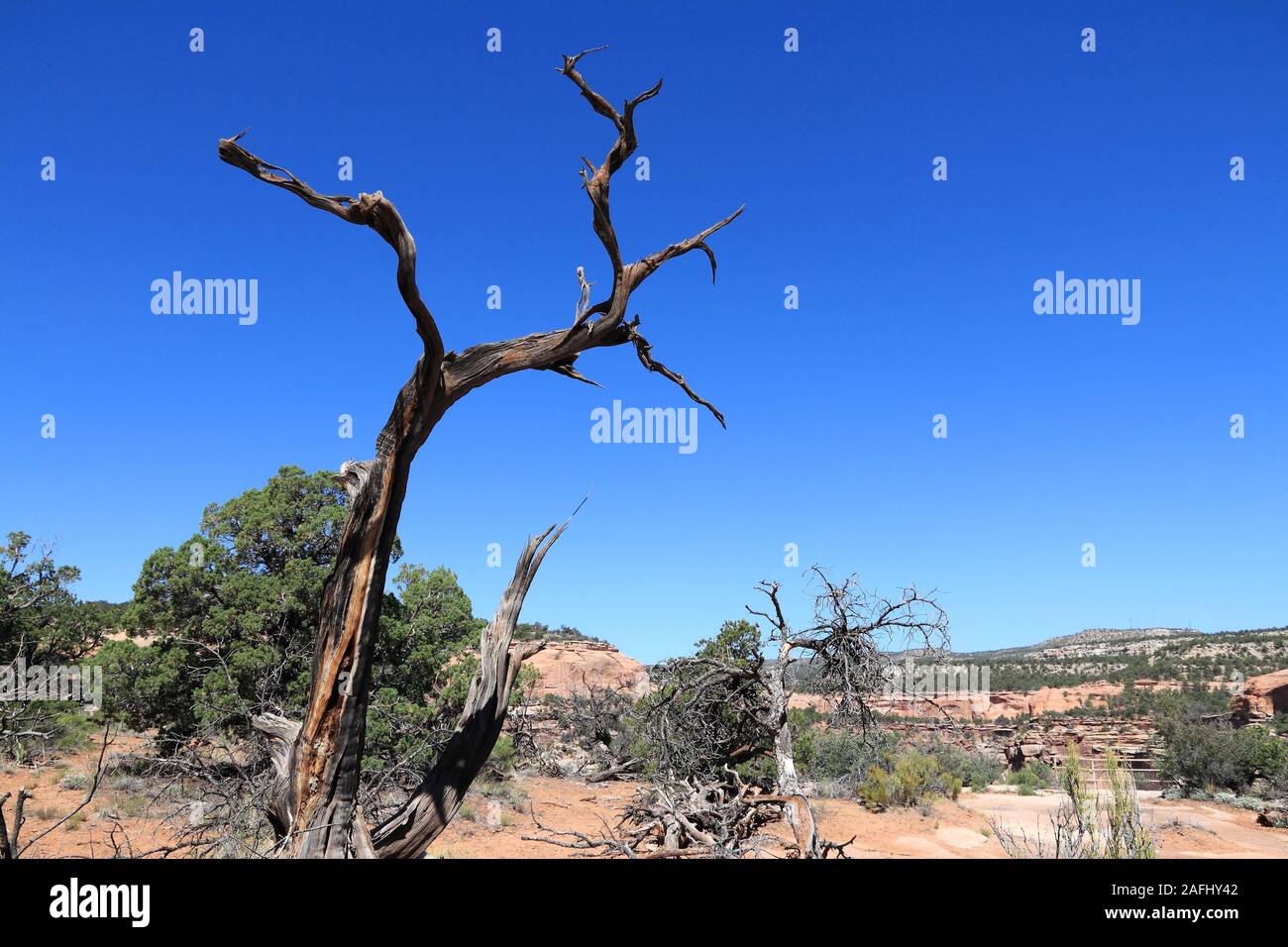 Colorado National Monument in the United States. Part of National Park ...