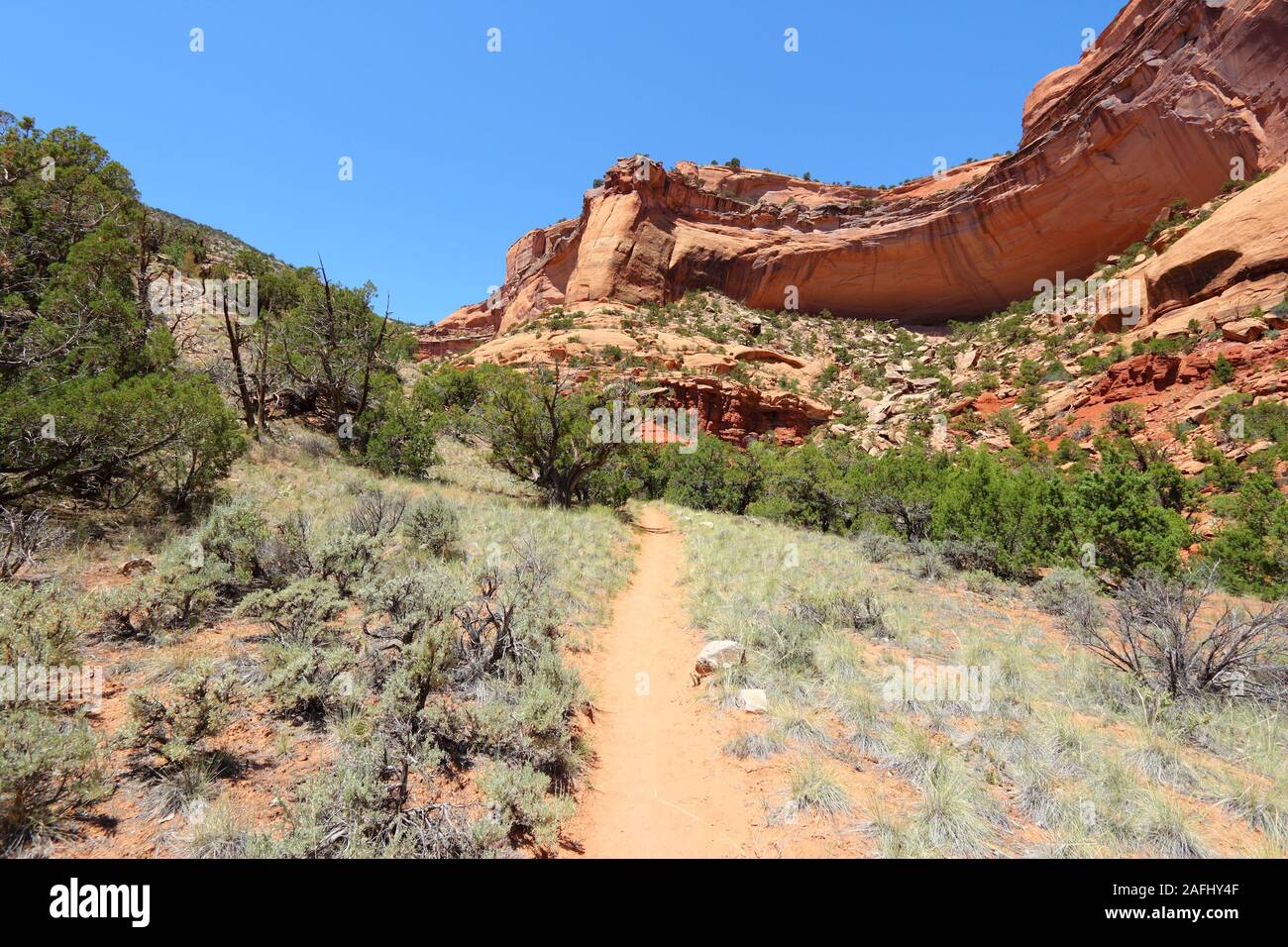 United States nature - Colorado National Monument. Hiking trail path ...