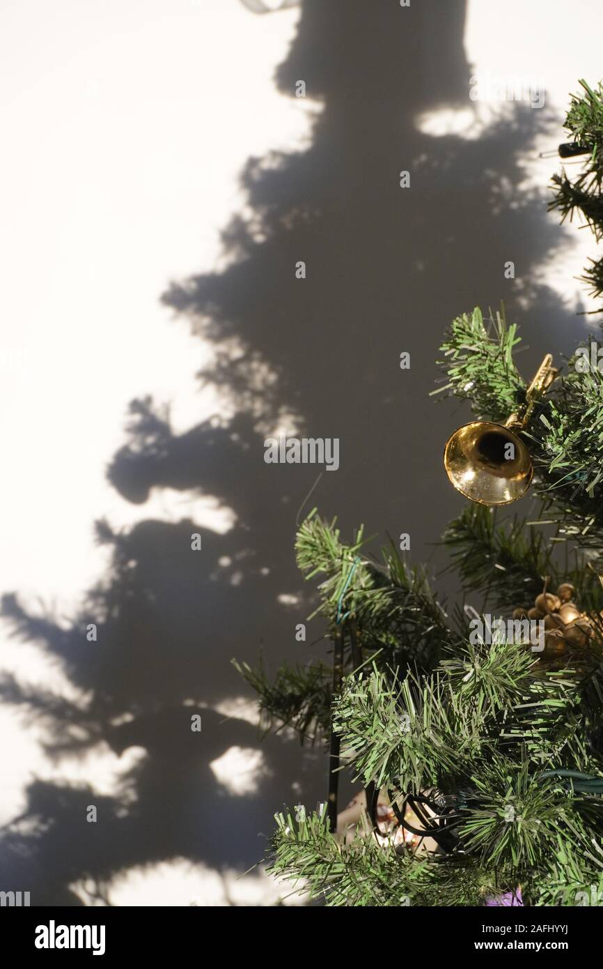 the shadow of Christmas evergreen tree branch, with dove easter egg ...