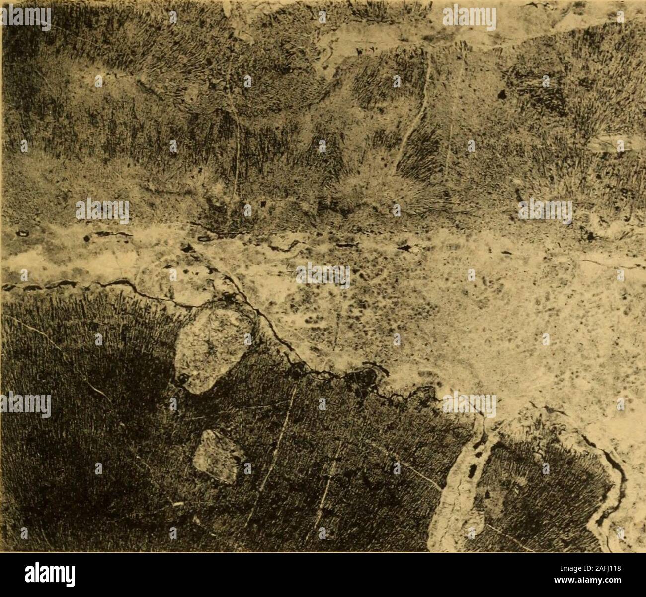 Photomicro hi-res stock photography and images - Alamy