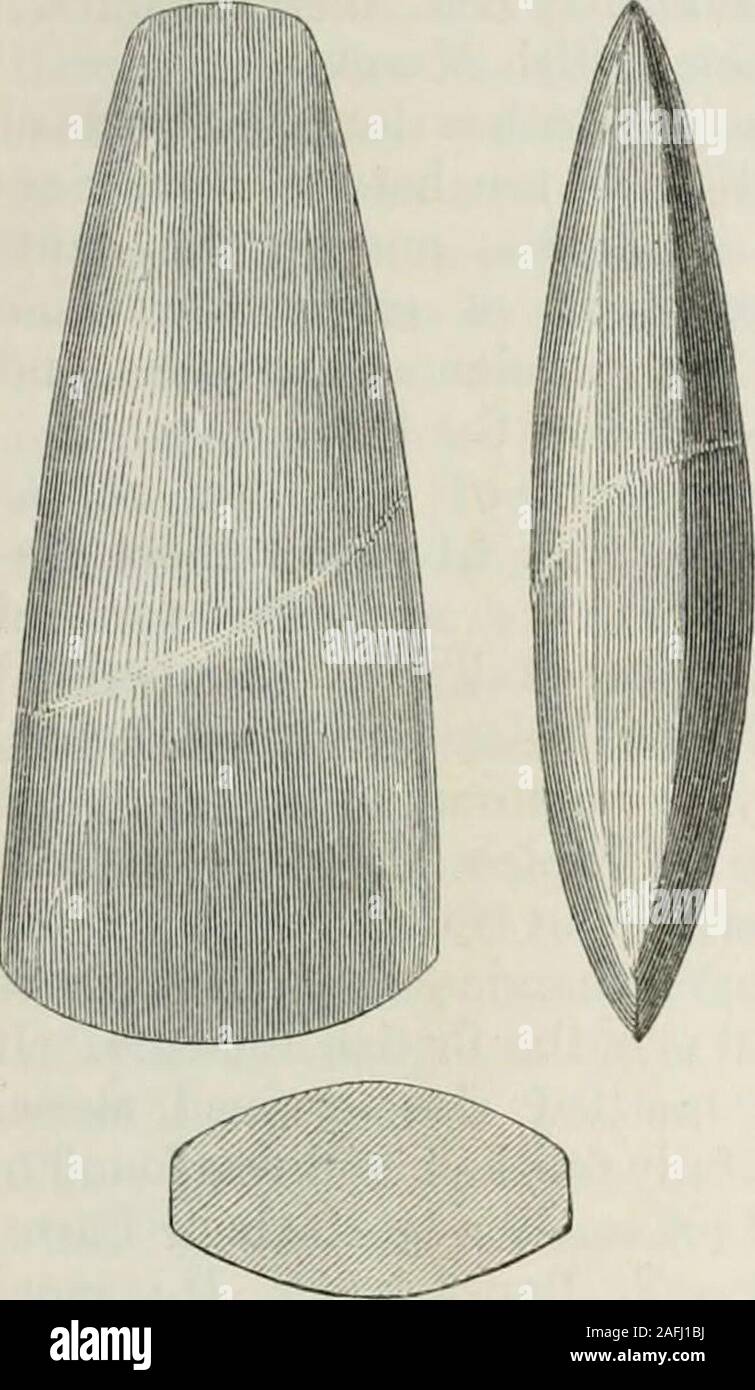 . The ancient stone implements, weapons, and ornaments, of Great ...