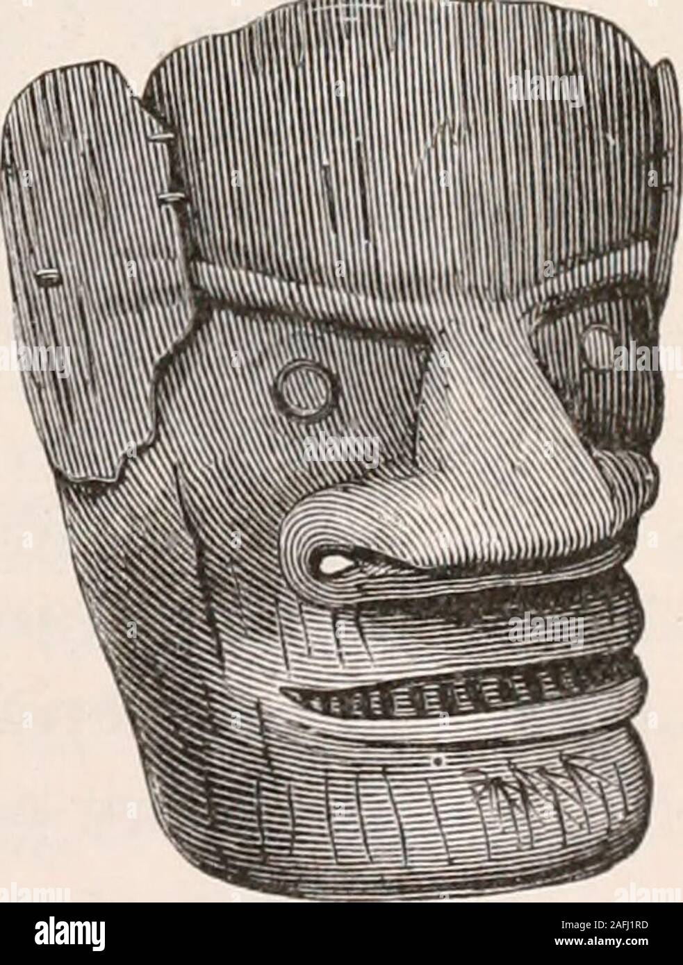 Cut cus hi-res stock photography and images - Alamy