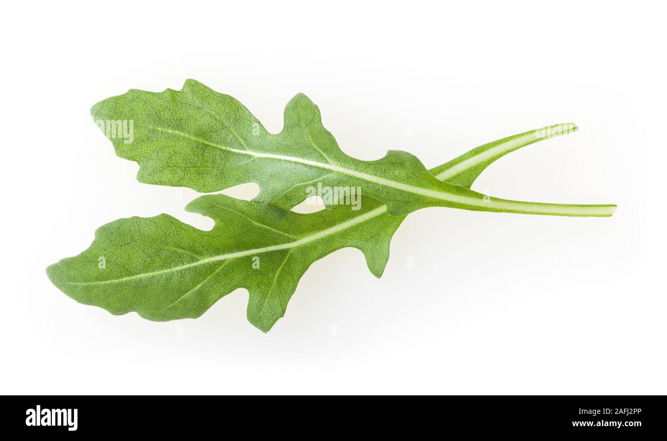 Fresh rucola leaves isolated on white background Stock Photo - Alamy