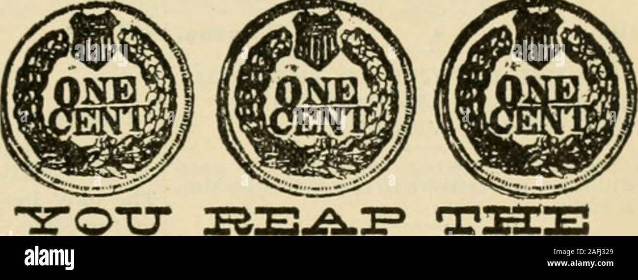 Ai gains hi-res stock photography and images - Alamy