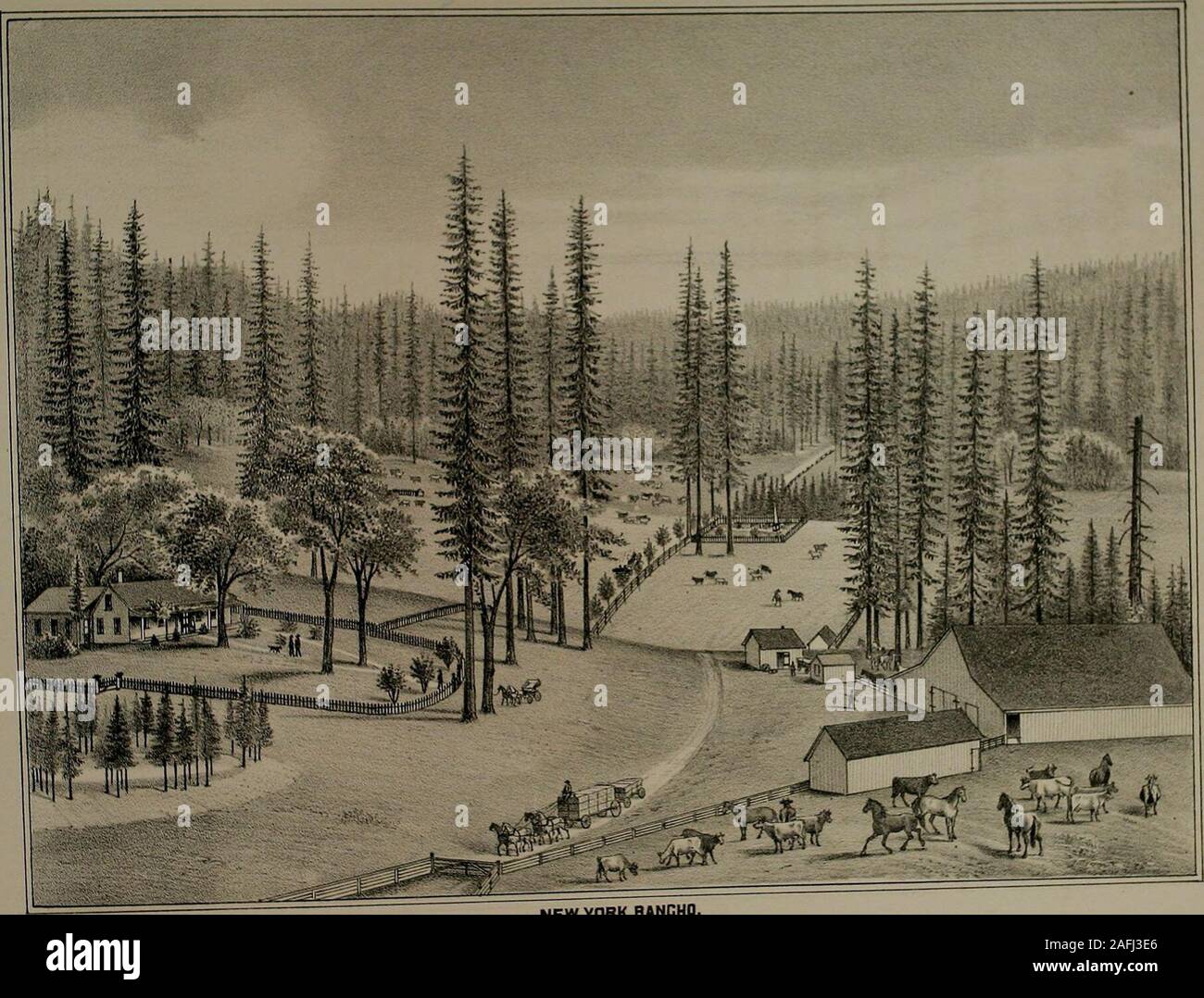 Amsler samuel hi-res stock photography and images - Alamy