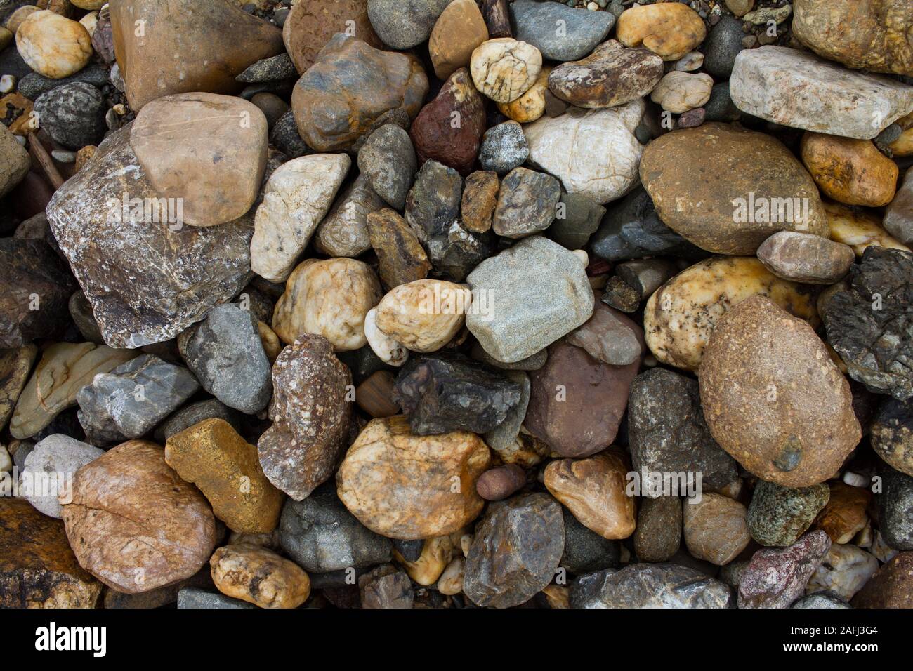 texture of small stones of different colors and shapes Stock Photo - Alamy