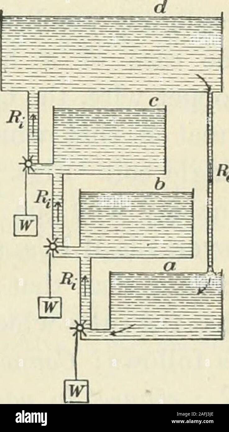 Singlecell hi-res stock photography and images - Alamy