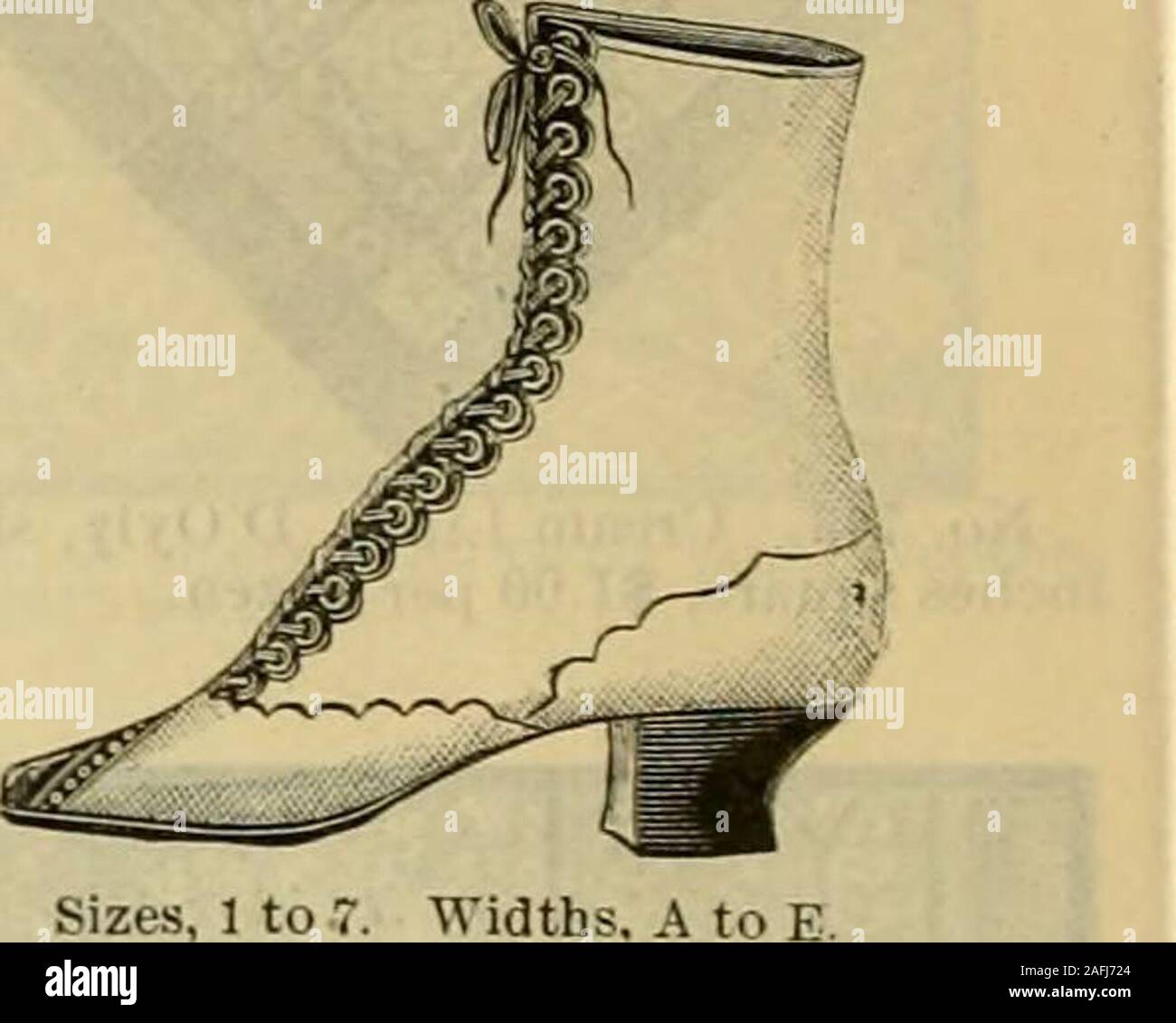 Foxing band hi-res stock photography and images - Alamy